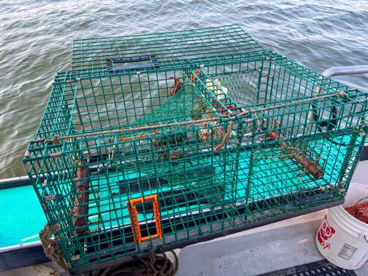 Maine Lobster Bake at Sunset on Peaks Island
