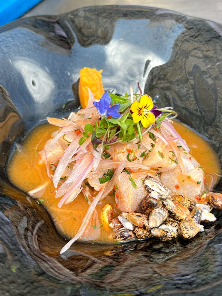 Cooking Class in Cusco: Making Ceviche and Lomo Saltado