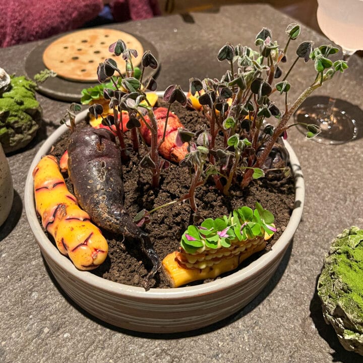 Mayta Restaurant: Modern Peruvian Food by Jaime Pesaque