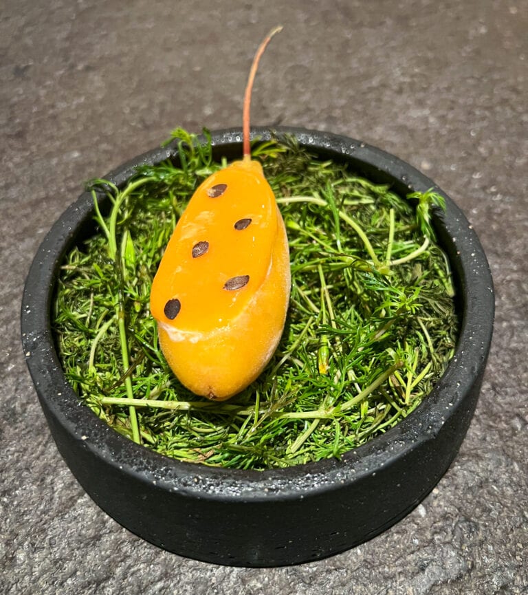 Mayta Restaurant: Modern Peruvian Food by Jaime Pesaque