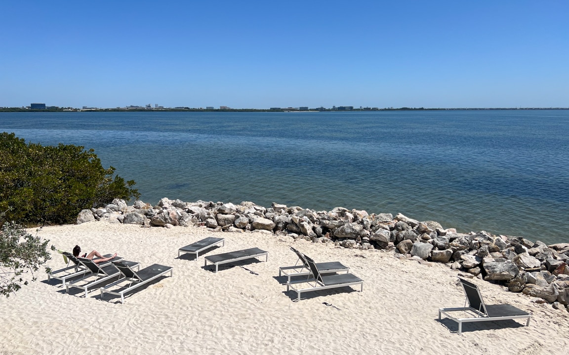 The CURRENT Hotel, Autograph Collection in Tampa - Feastio