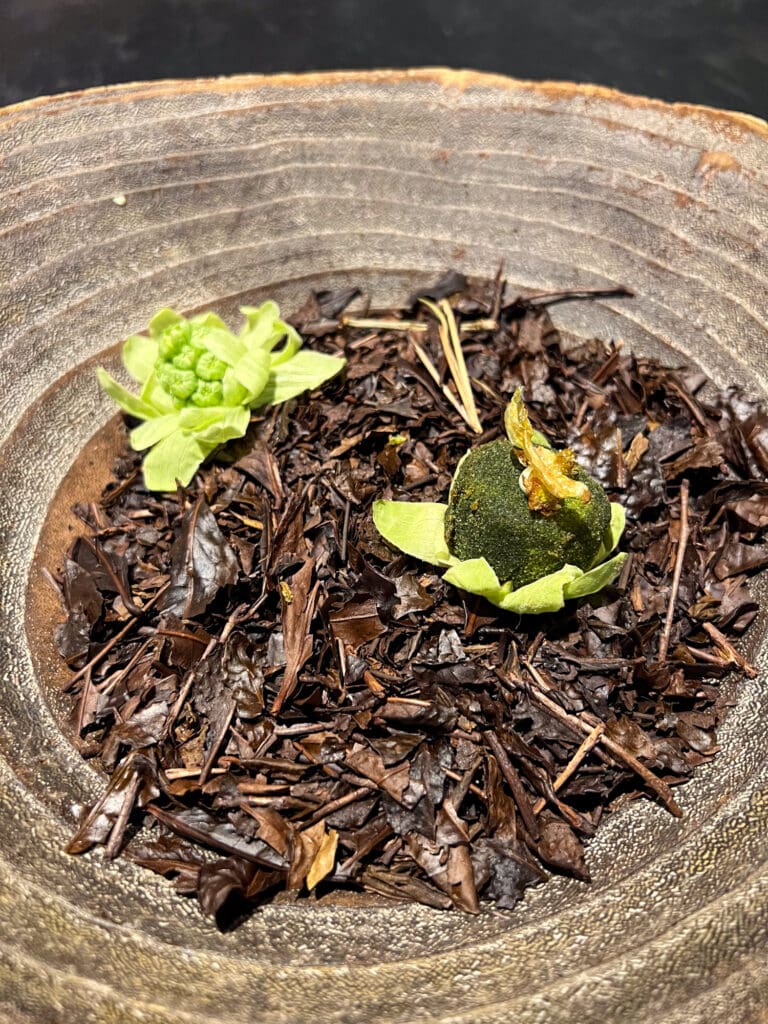 Florilege Restaurant: French-Japanese Cuisine in Tokyo - Feastio