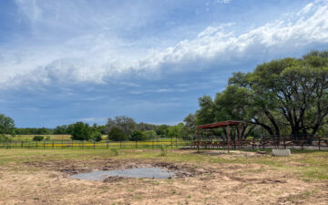 Rhinory: A Winery With Rhinos in the Texas Hill Country