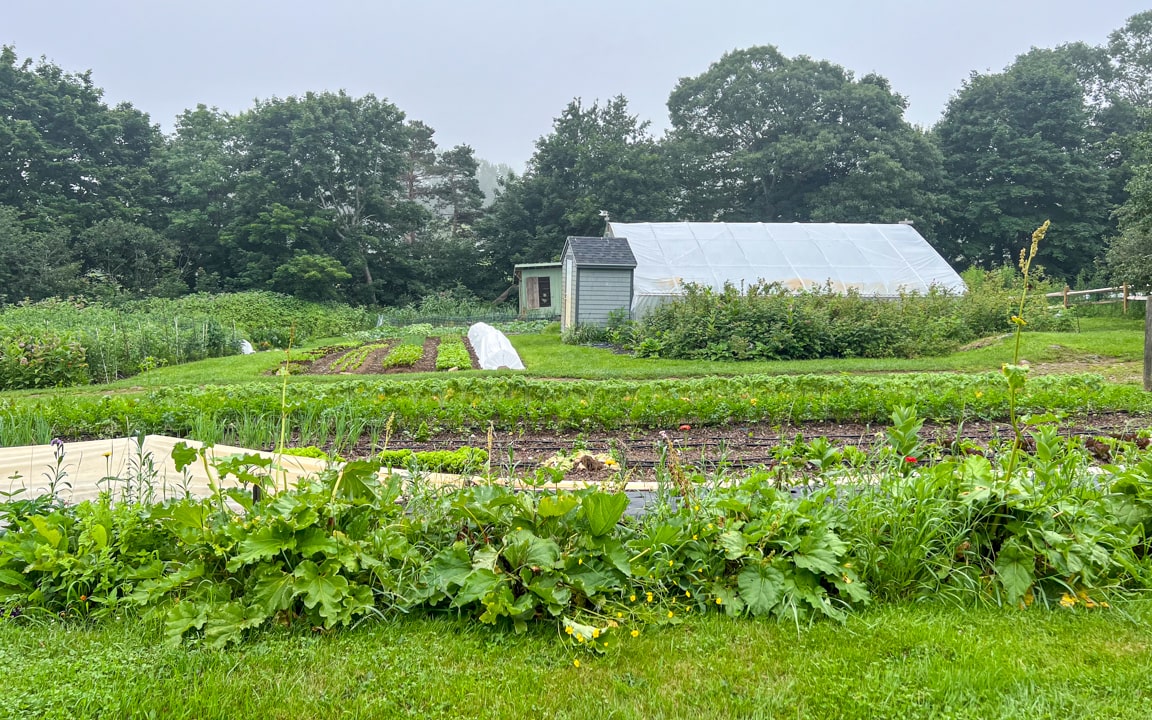 Primo Restaurant: Farm-to-Table Dining in Maine - Feastio