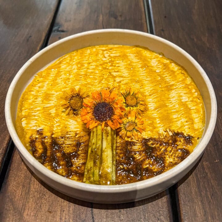 Borago Restaurant: A Culinary Adventure in Santiago - Feastio