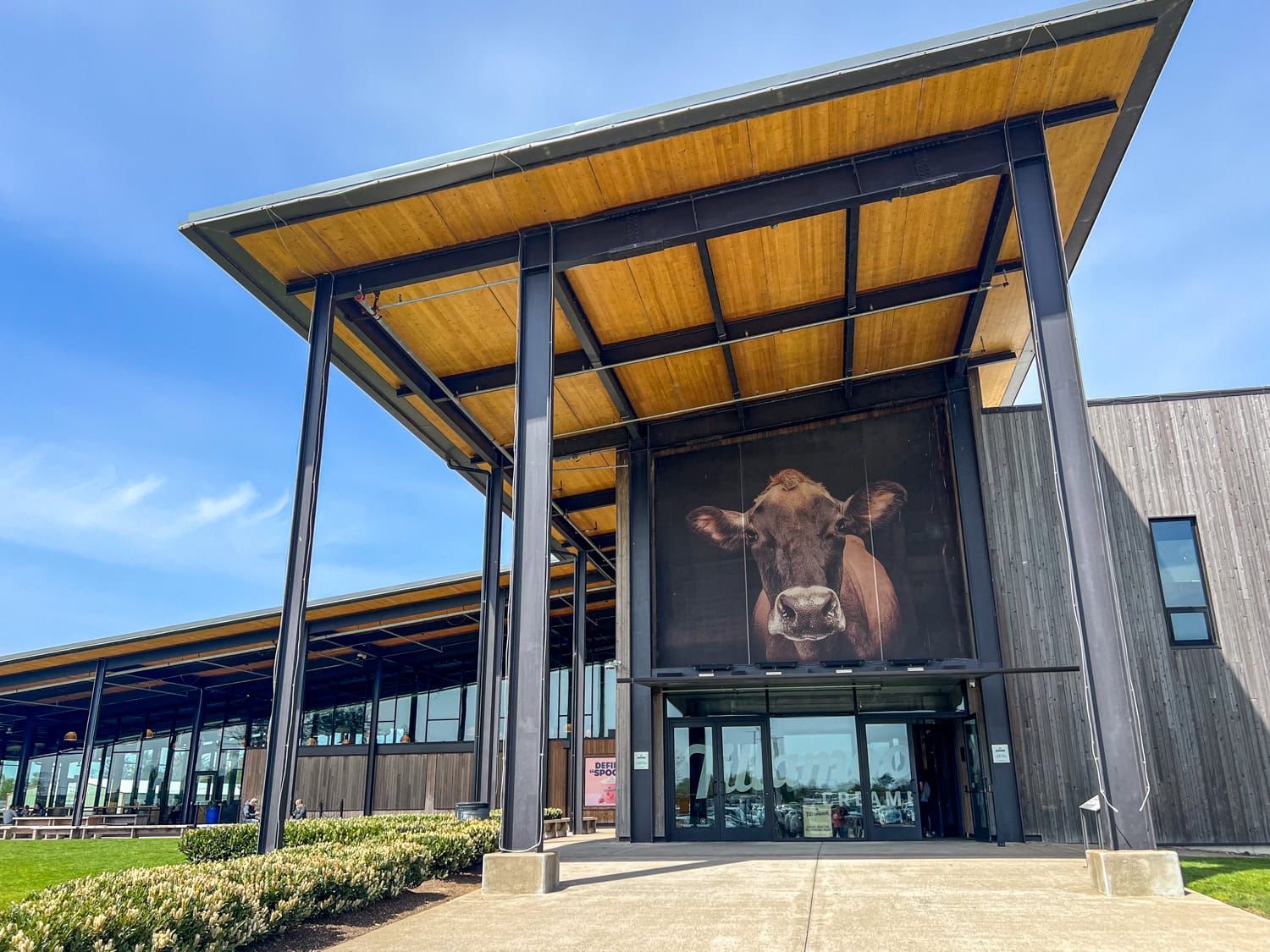 Tillamook Creamery: A Dairy Good Time on the Oregon Coast