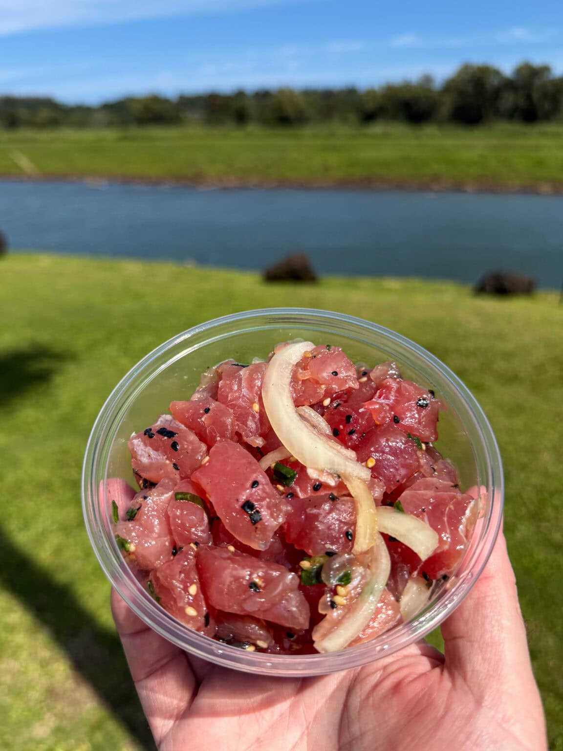 Where To Eat on Kauai: Best Restaurants & Casual Eats
